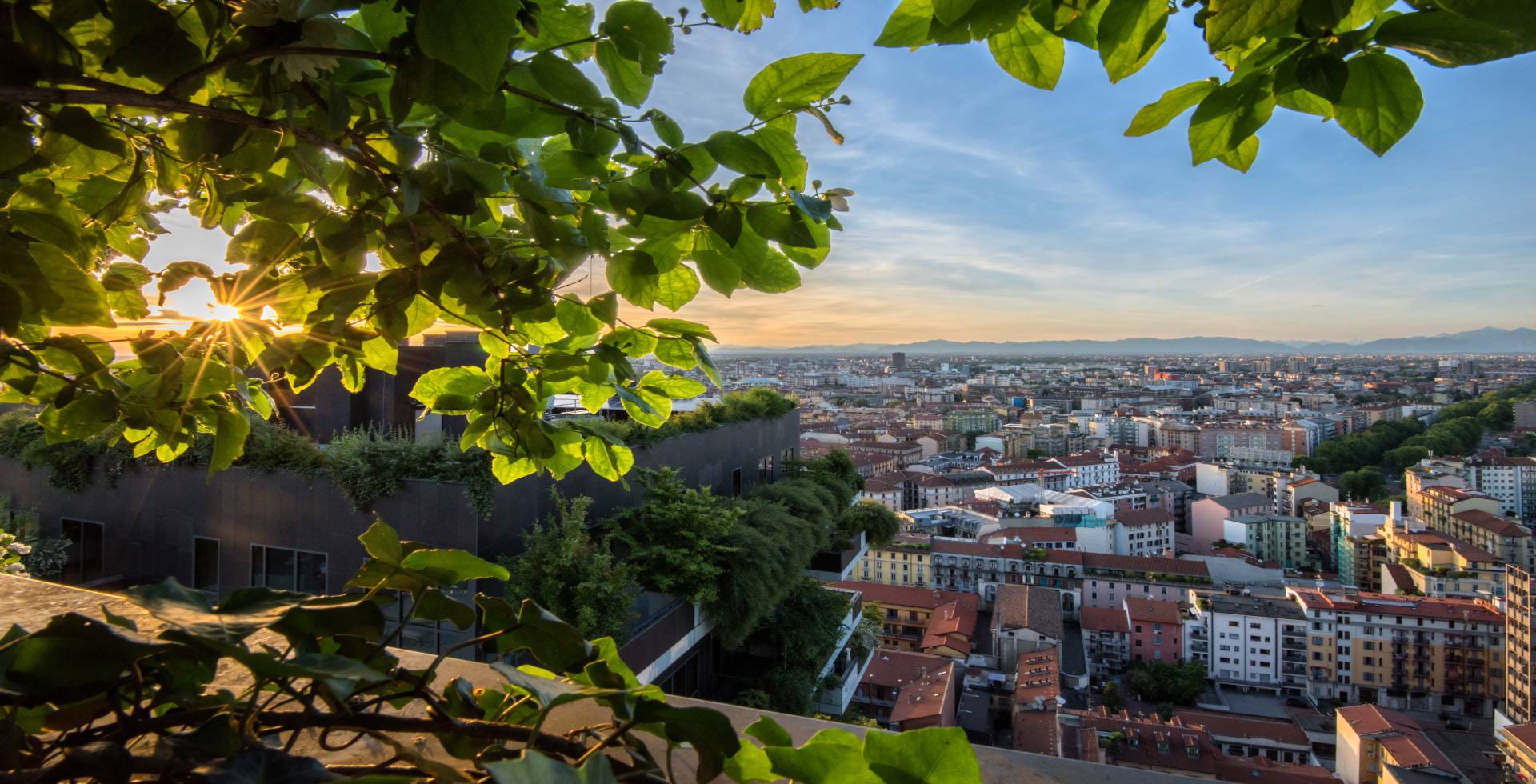 European Equities Outlook Q3 2025 | Allianz Global Investors